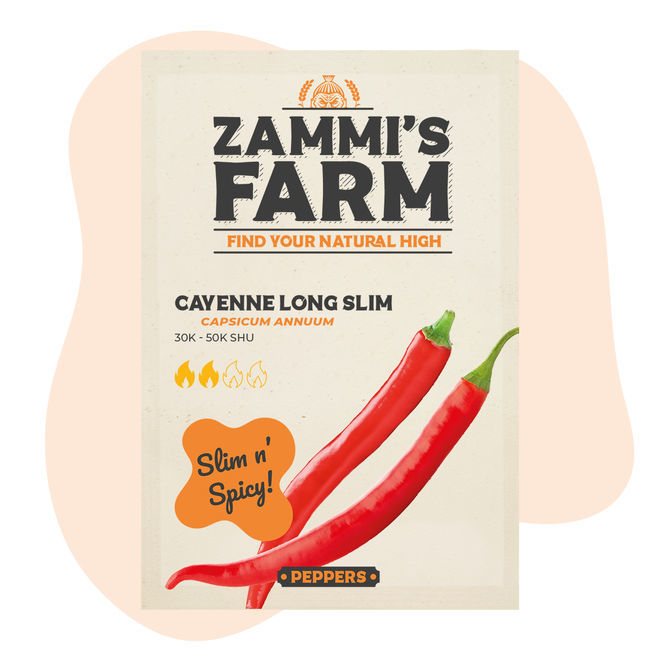 Sementes de Cayenne Long Slim